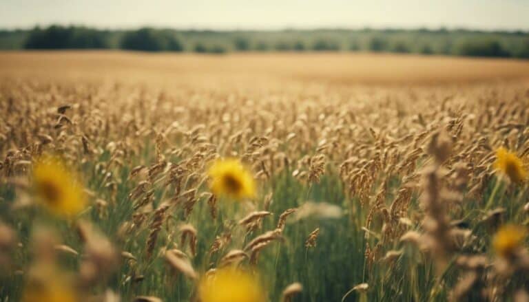 Cultivating Clean: Best Practices In Organic Grain Farming | The ...